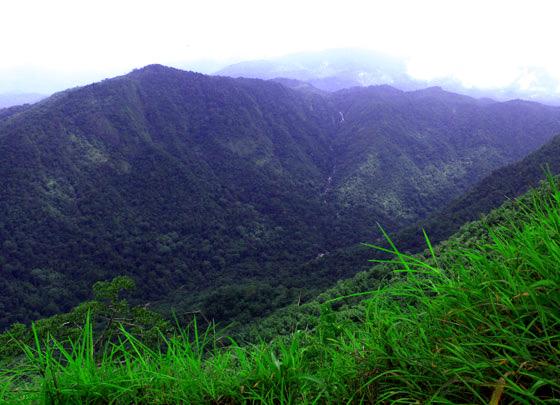 Top travel destinations Wayanad | Holiday packages Wayanad