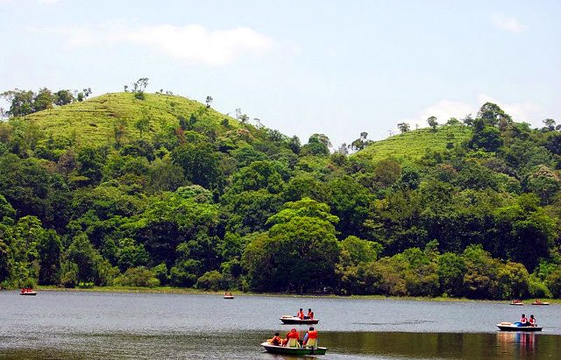 Top travel destinations Wayanad | Holiday packages Wayanad